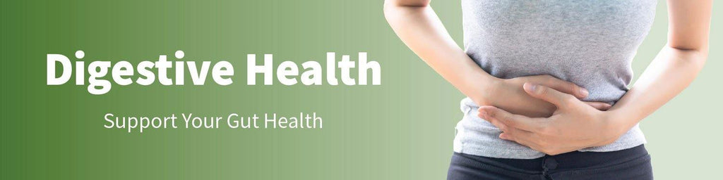 Cupping for Digestive Health, Detox, Bloat and Weight Loss – Lure ...